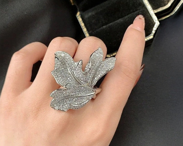 Western Ring – Ishhaara